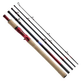 SHIMANO 20 World Shaula Dream Tour Edition 1704R-5 Rods buy at ...